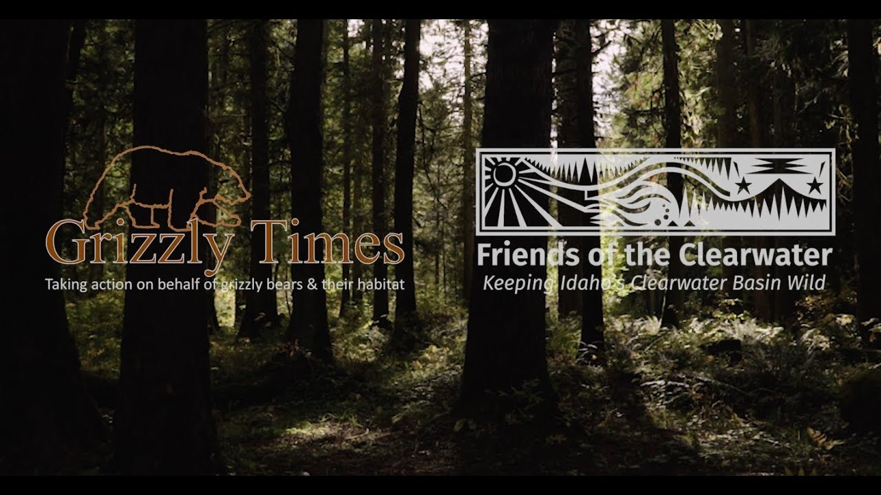 "Grizzlies for the Clearwater: Beyond the Great Divide" with Dr. David ...