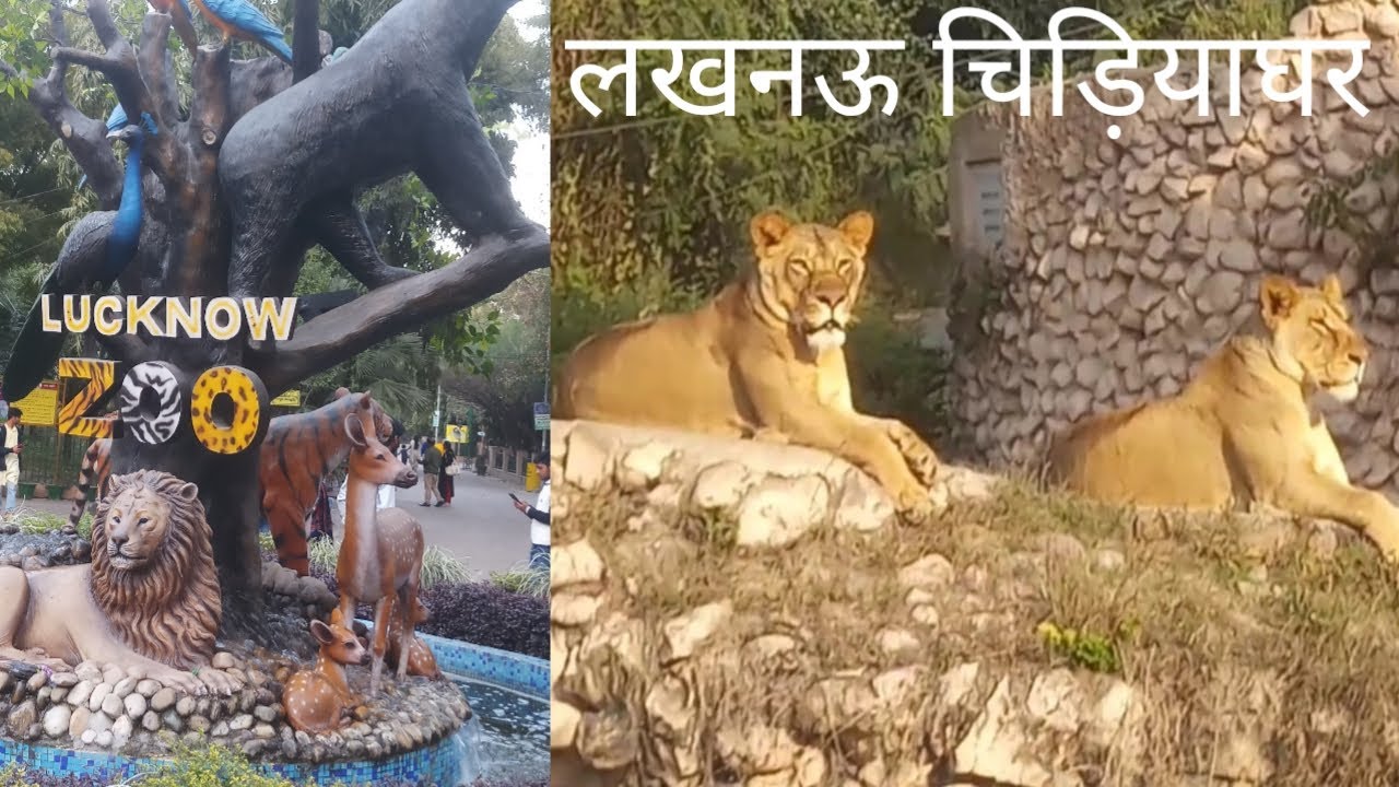 Lucknow Zoo||Nawab Wajid Ali Shah Zoological Garden Lucknow - YouTube