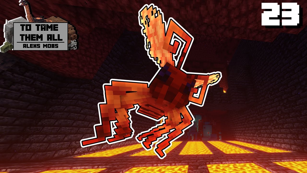 This new Tarantula Hawk Variant is AWESOME | To Tame Them All (Alex's ...