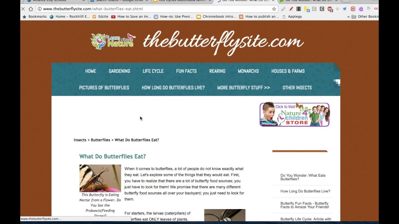 Citing Sources in Google Slides - YouTube