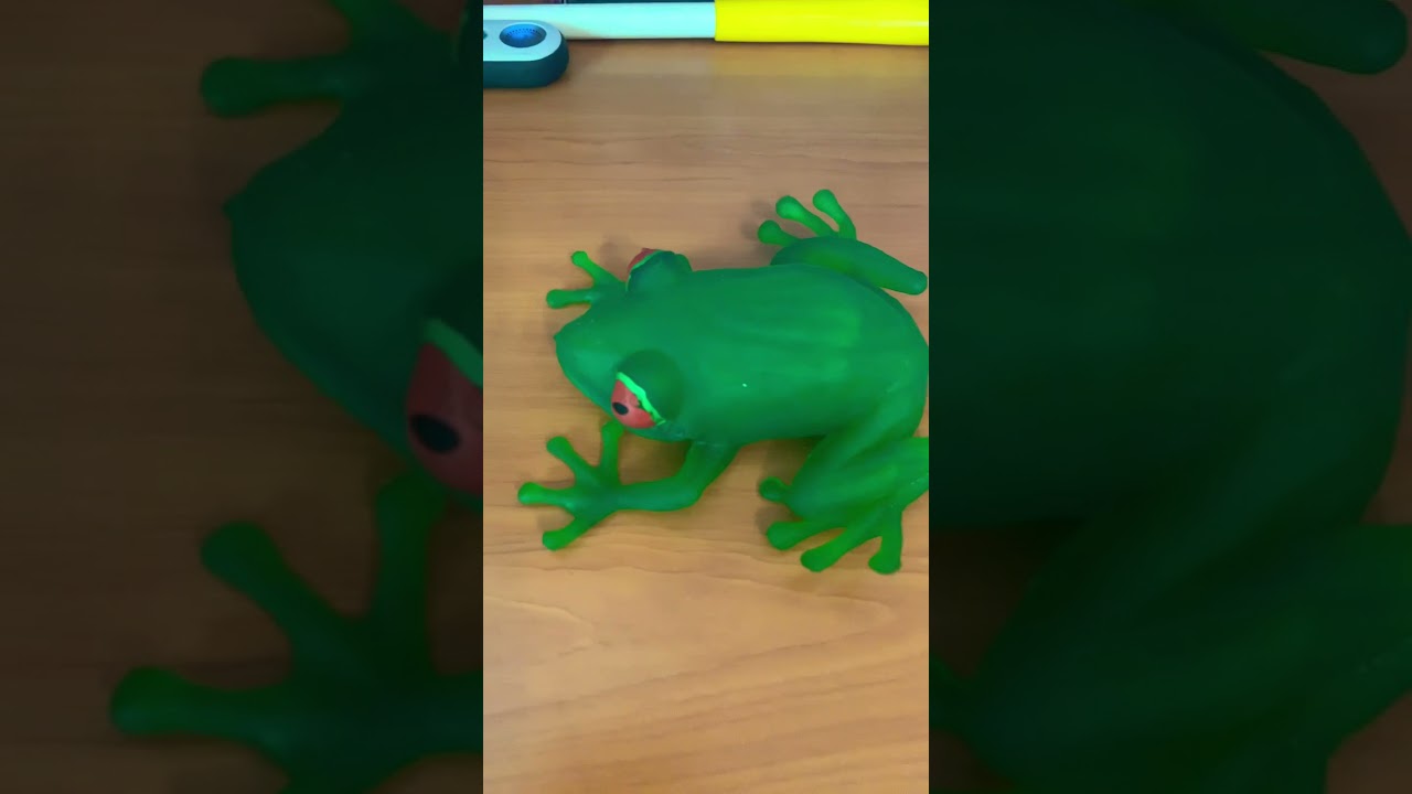 #frog fix everything - YouTube