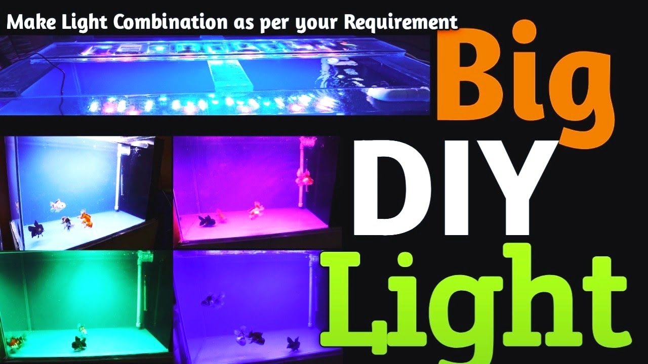 Big DIY Aquarium Light for Gold Fish Tank || How to Make DIY Aquarium ...
