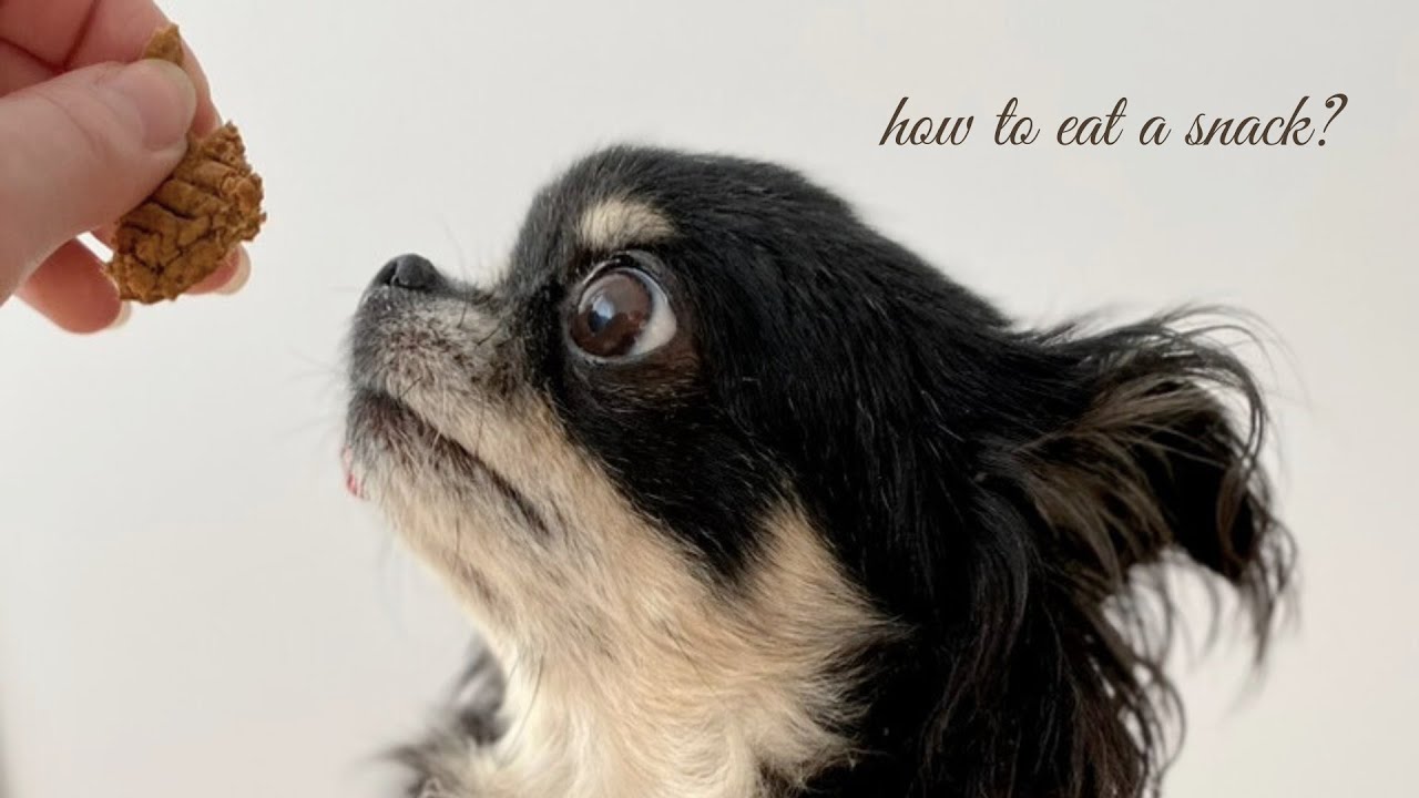 how to eat a snack: cute tutorial by Mary 😋 - YouTube