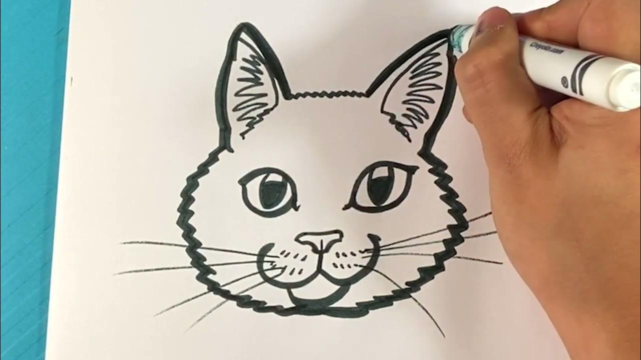 EASY How to Draw a CAT - YouTube