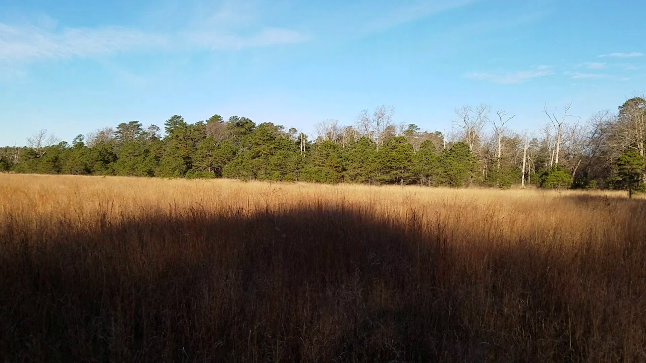 November 29, 2019 - YouTube