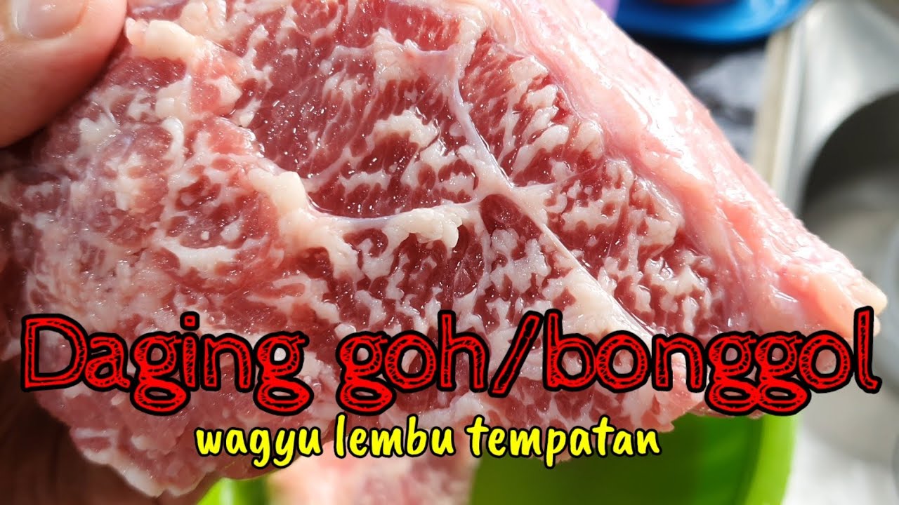Lembu tempatan pun ada daging WAGYU | Tak percaya? boleh tonton video ...
