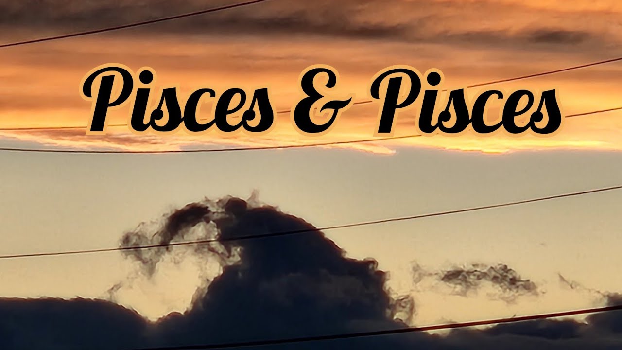 ♓️PISCES DEALING W/ PISCES♓️ - YouTube
