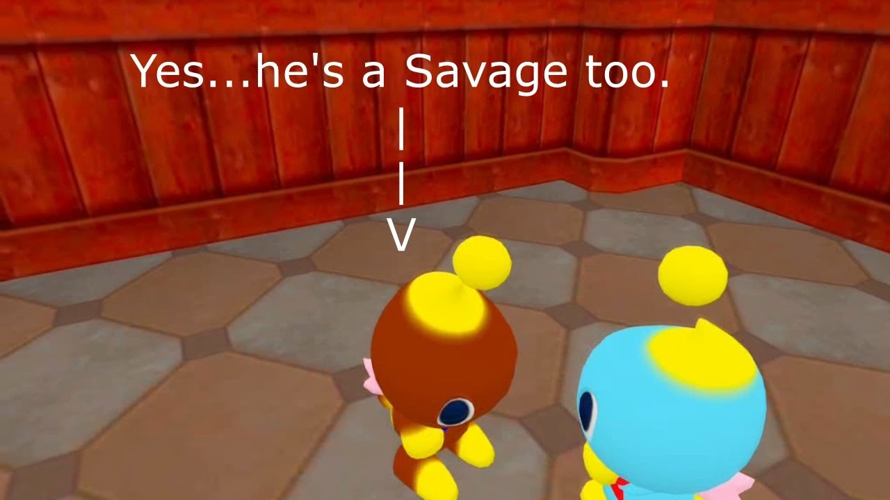 SAVAGE CHAO BROS REUNITE?!?! Sailor Peace Meets Chocola at the Chao ...