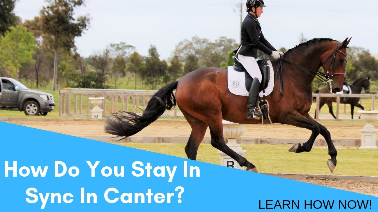 HOW TO RIDE IN SYNC WITH MY HORSE IN CANTER? - Dressage Mastery TV ...