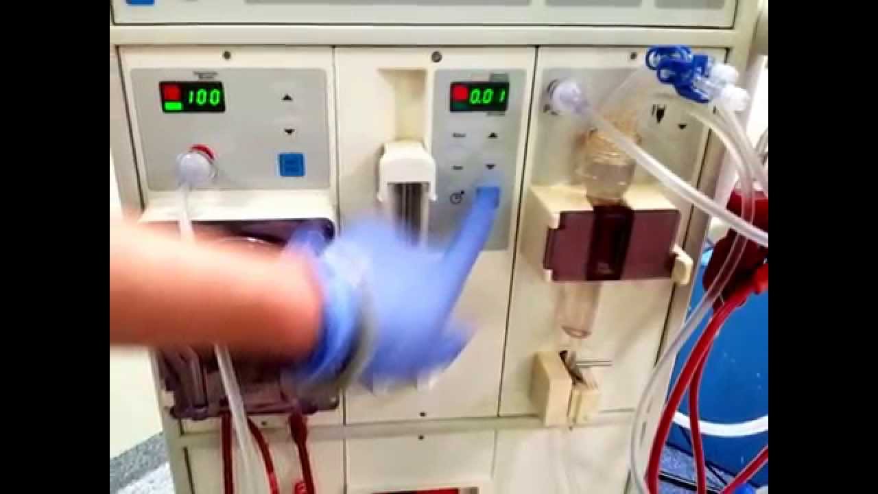Copy of Cannulate, connecting and commencement of haemodialysis - YouTube