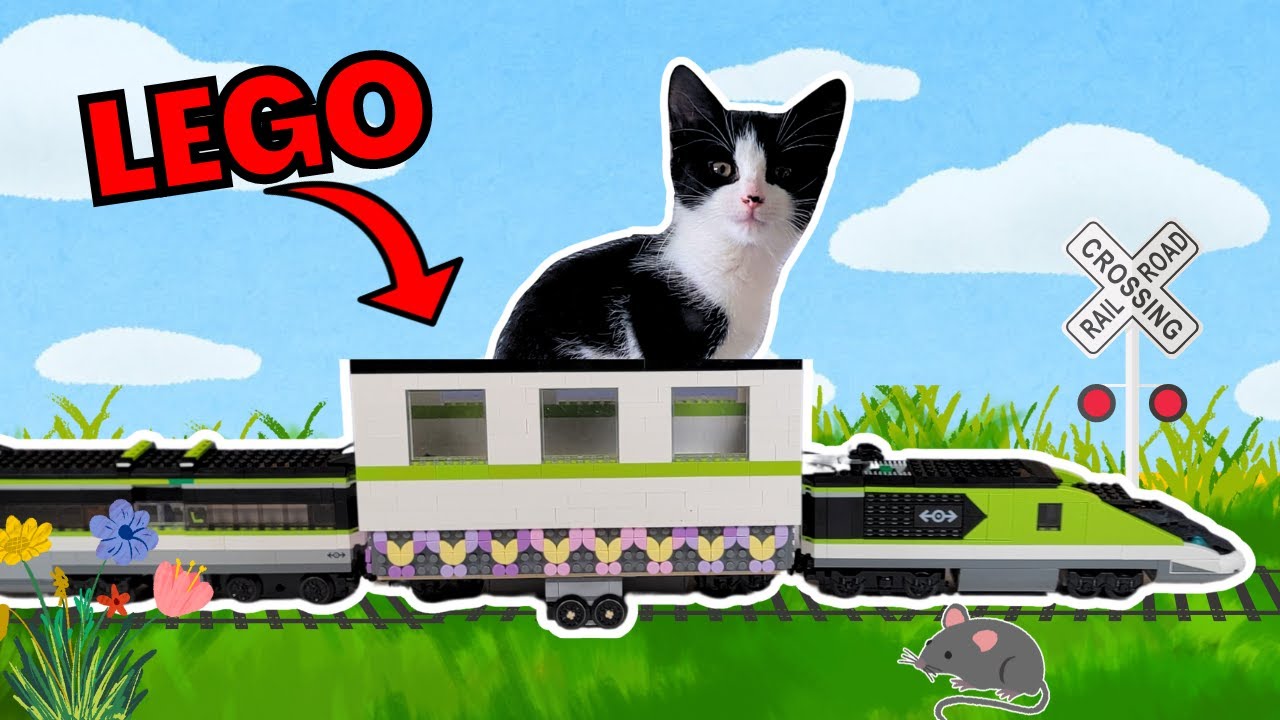 I made a LEGO Cat Train! - YouTube