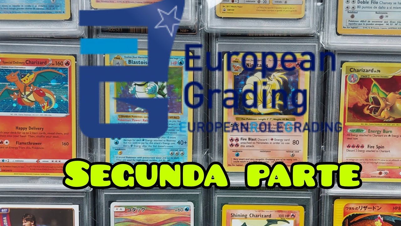 recepción european grading segunda parte, espero que les guste - YouTube