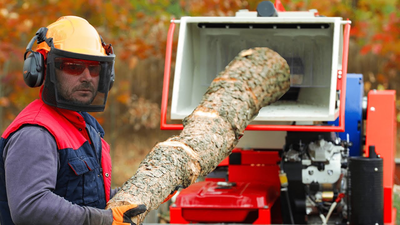 ♻ Eco-friendly Firewood Harvesting made easy: discover device turning ...
