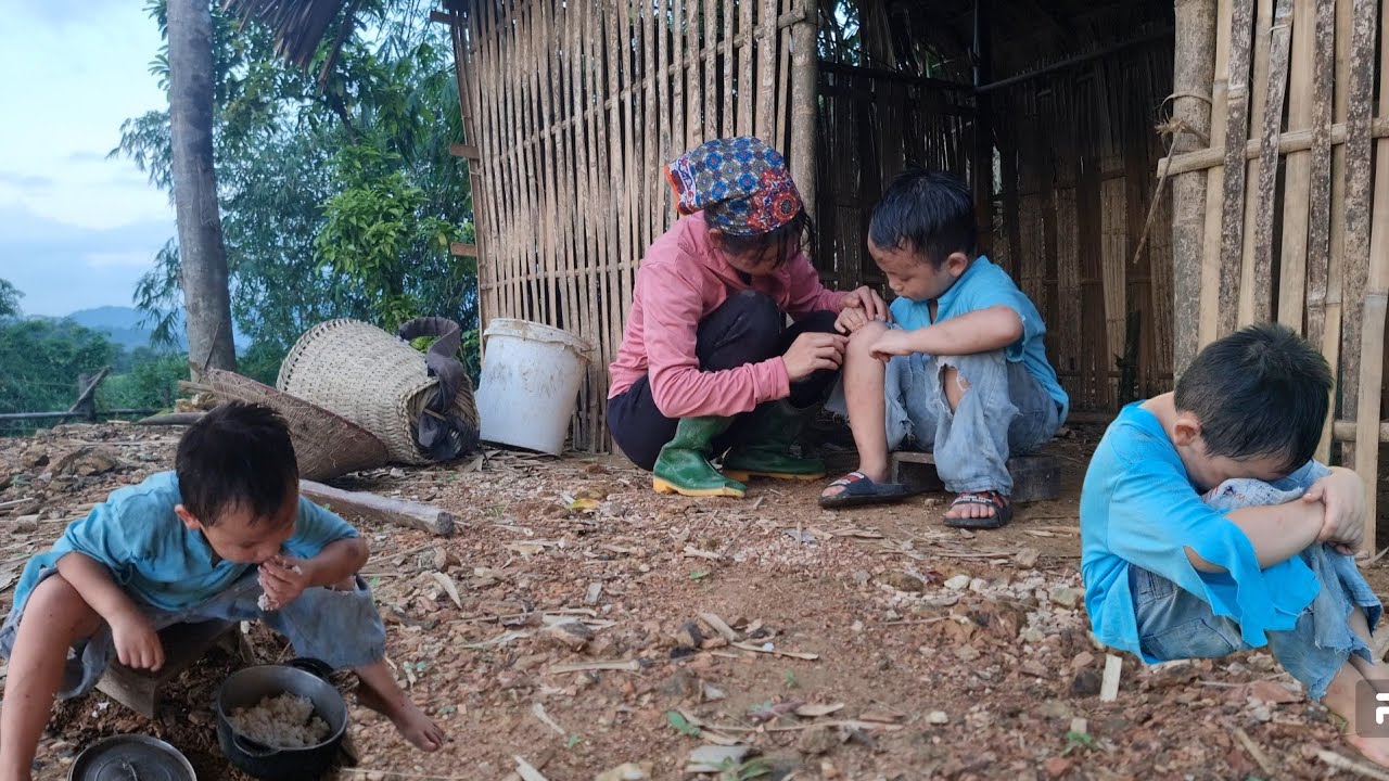 Go pick up fallen rice.Cooking with the abandoned boy Phạm_hải_yến ...