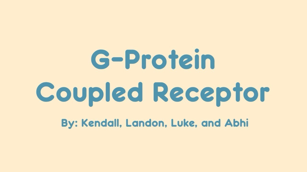 AP BIO // G-Protein Coupled Receptor Animation and Explanation - YouTube