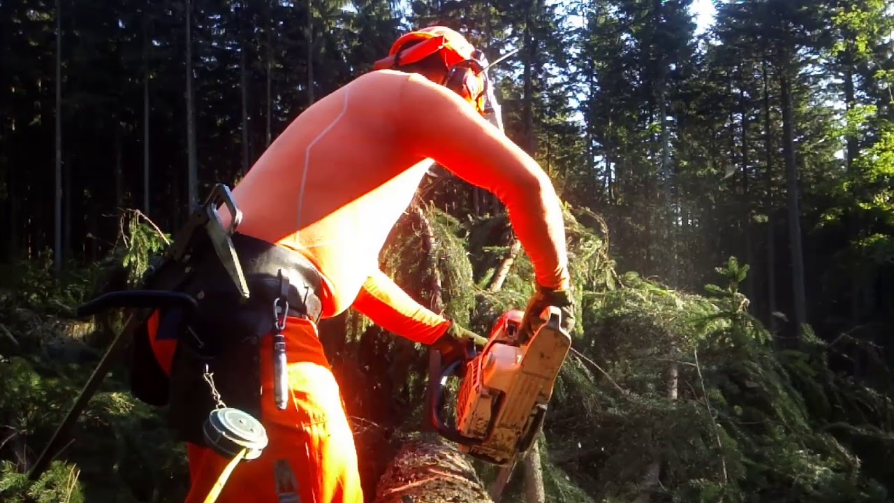 Working in forest, 279-2019, Im wald arbeiten, Práce v lese 🇨🇿 - YouTube