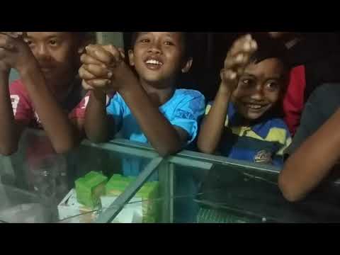 Hipnotis bocil lucu sampai kapok #Viral #Lucu