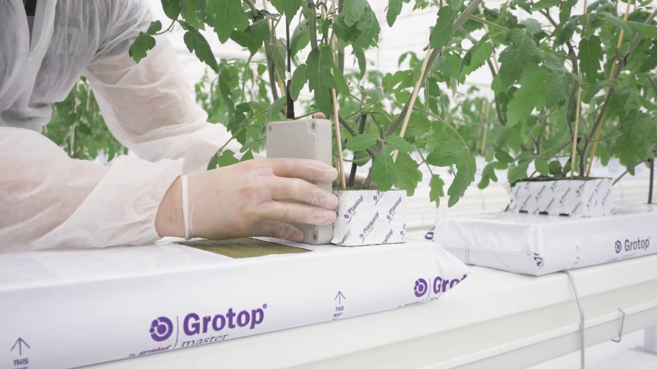 Grodan Instruction Video #4 Steering besides the plant hole - YouTube