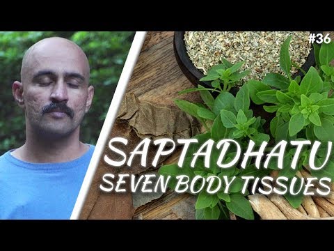 Exploring the Seven Body Tissues: Insights from Ayurveda - YouTube