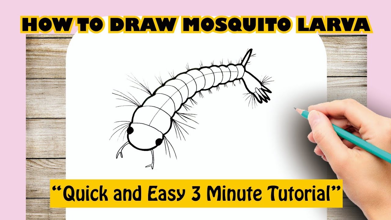How to draw MOSQUITO LARVA - YouTube