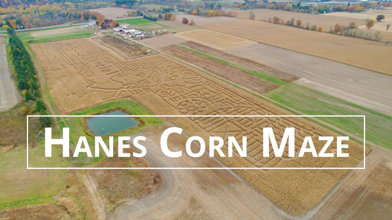 Hanes Corn Maze - Hamilton, Ontario 🇨🇦 | 4K feature video - YouTube