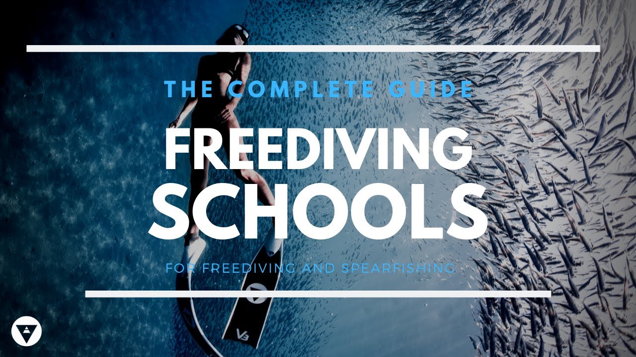 The Complete Guide | Freediving Schools | What Will I Learn If I Join A ...