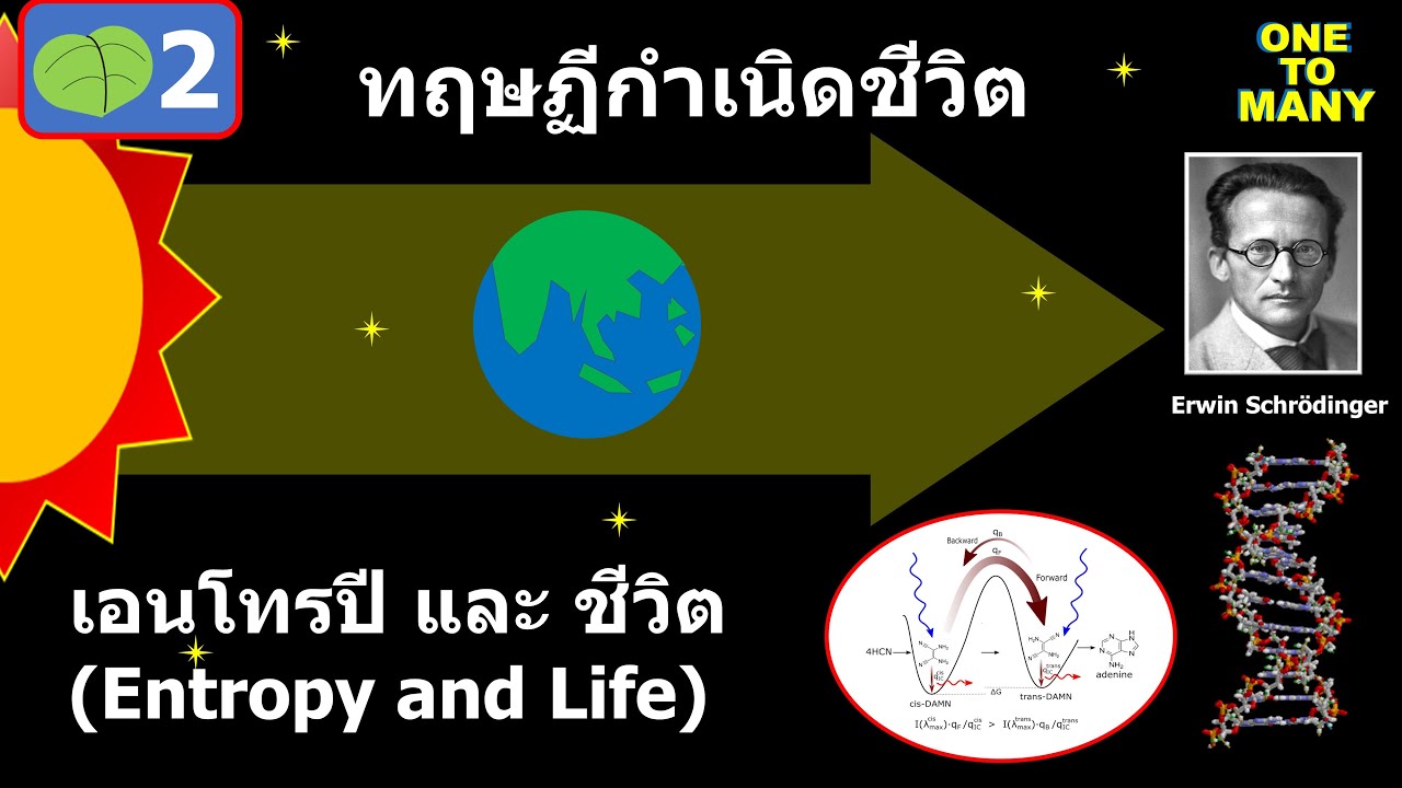 ทฤษฏีกำเนิดชีวิต EP.2 ตอน เอนโทรปีและชีวิต (Entropy and Life) - YouTube