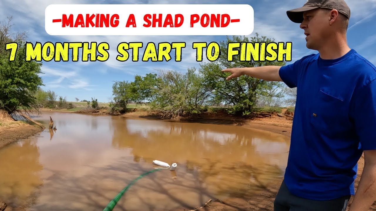 Creating a Shad Pond Start to Finish in 7 Months - YouTube