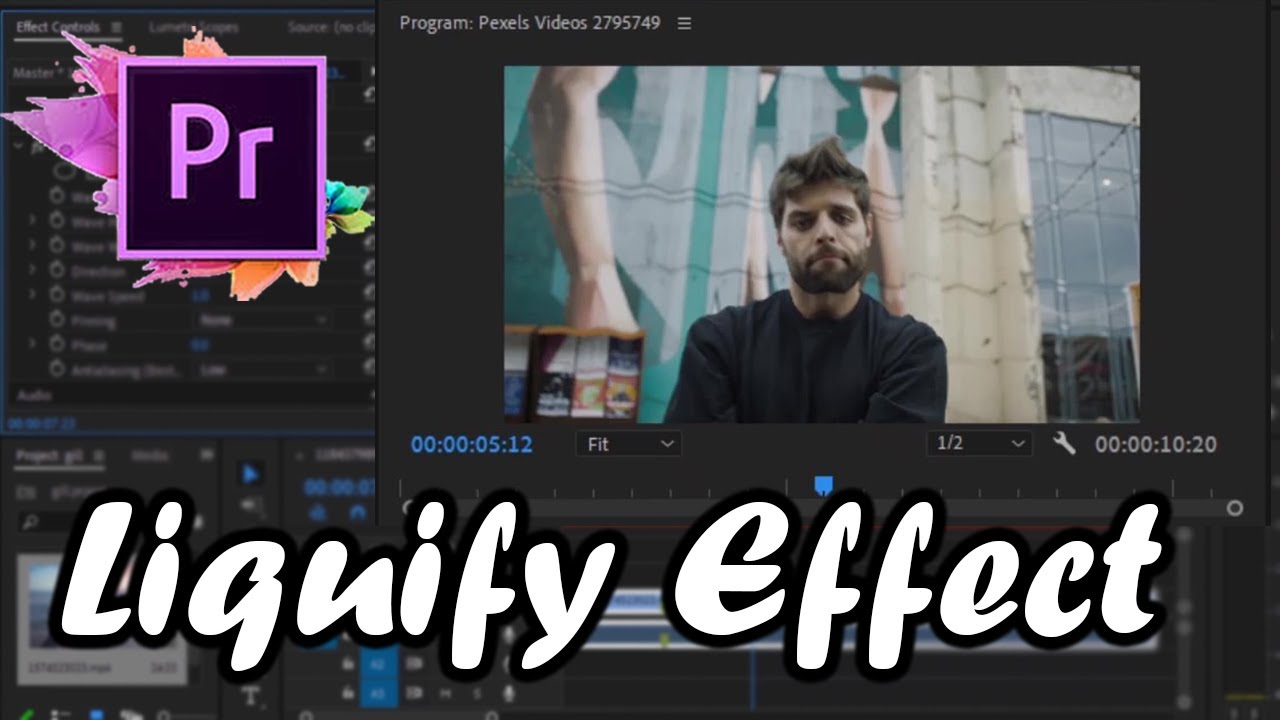 How To Add Liquify Effect In Your Video | Adobe Premiere Pro - YouTube