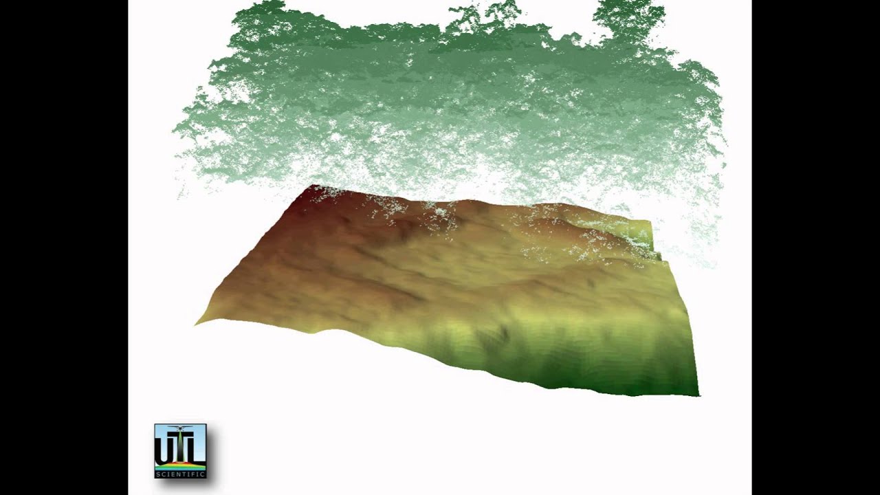 UTL Scientific LLC - LIDAR animation of Honduran jungle - YouTube