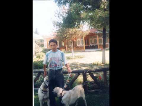 MURAT DURMUŞ YAZ BİR KAĞIDA TÜRKÜLERMİ