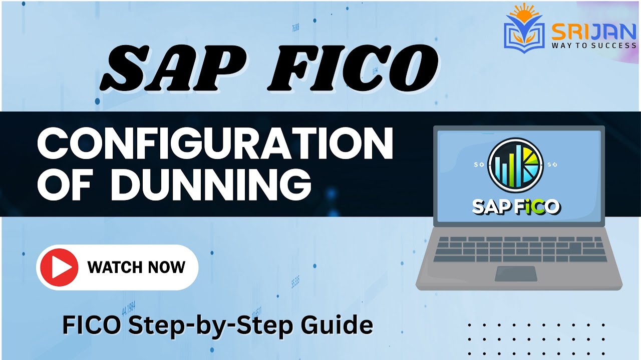 17. SAP FICO Dunning Configuration: Step-by-Step Guide with Detailed ...