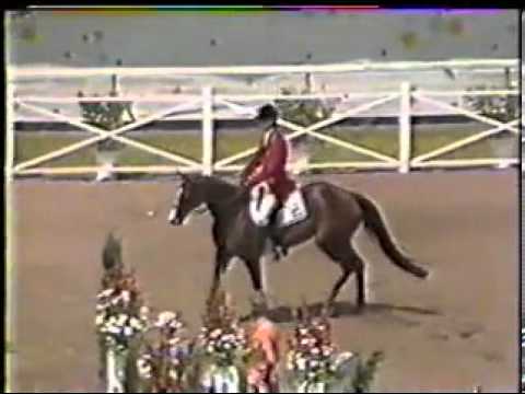 Olimpiadi di Los Angeles 1984 Conrad -homfeld con Abdullah - Joe Fargis ...
