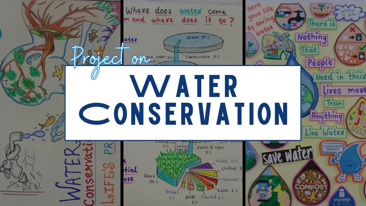 Water Conservation 💙 || EVS Project || Save Water || #savewater # ...