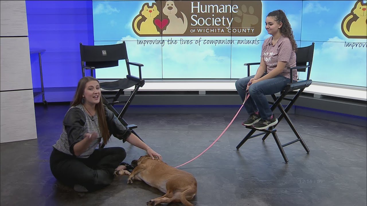 Sadie Loves! KFDX 3 News at Noon - YouTube