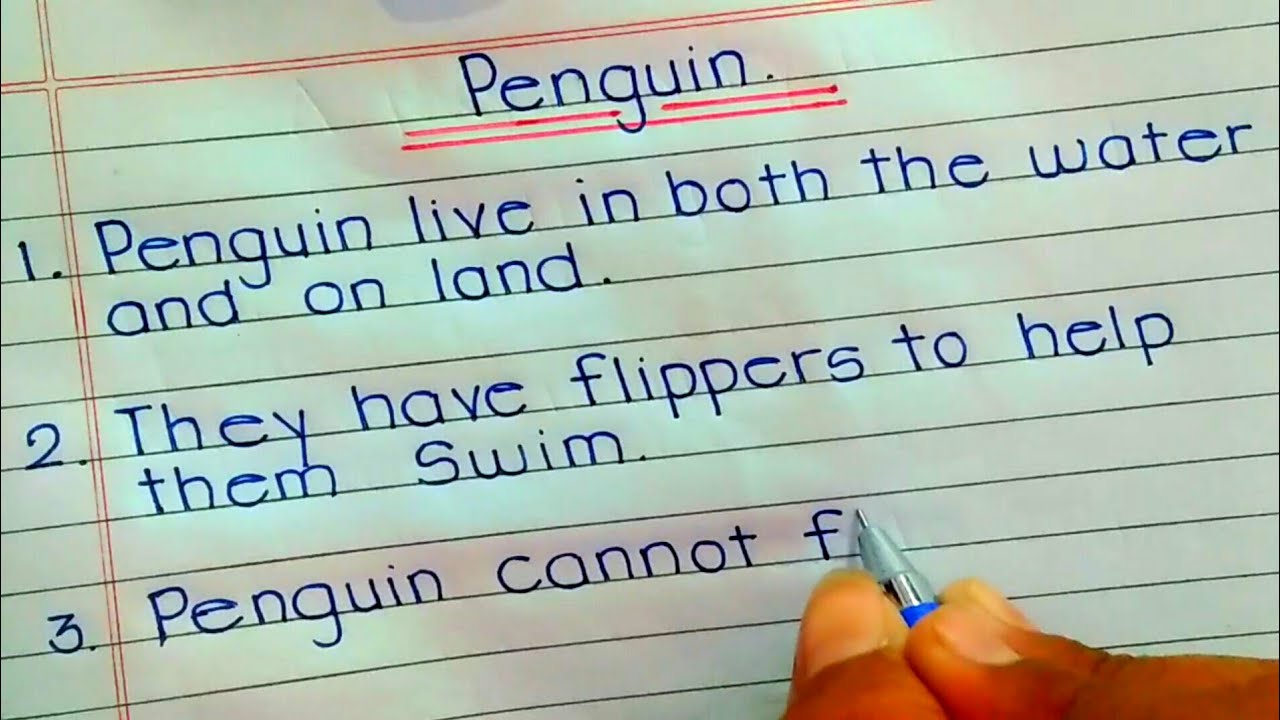 Essay on penguin // 10 line on penguin // Essay writing on penguin in ...