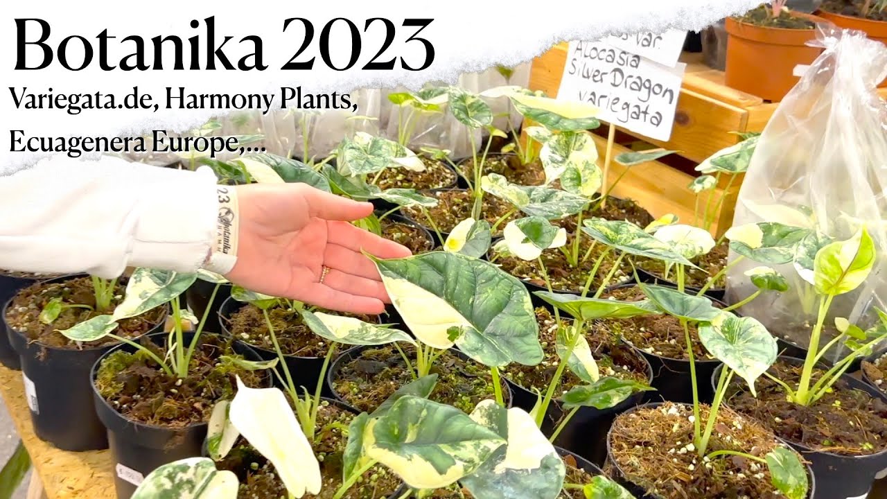 Botanika 2023 in Hamm | VLog - YouTube