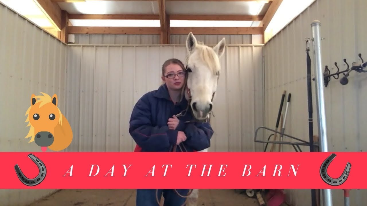 A Day At The Barn!! // Caitlin Piper - YouTube