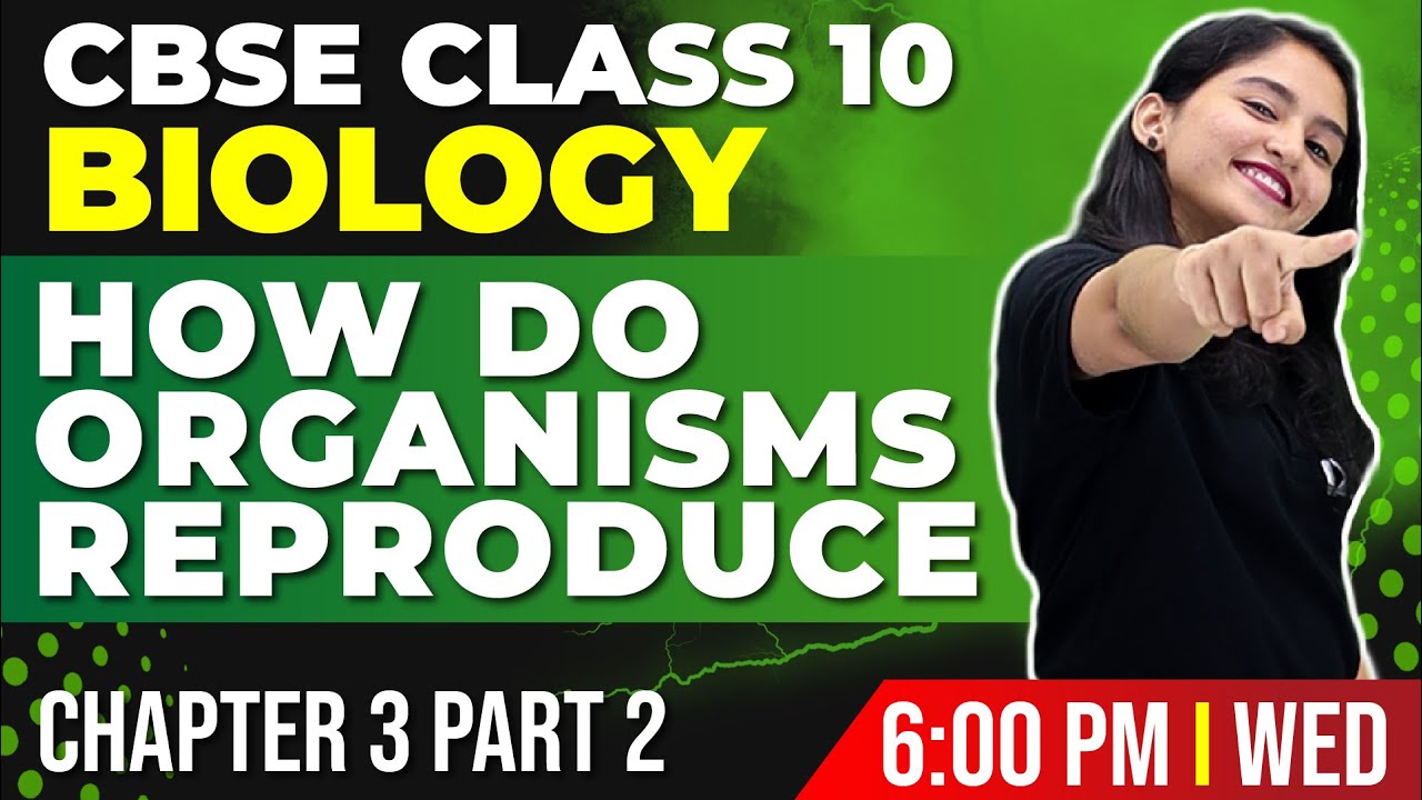 Cbse Class 10 Biology How Do Organisms Reproduce Part 2 Chapter 3