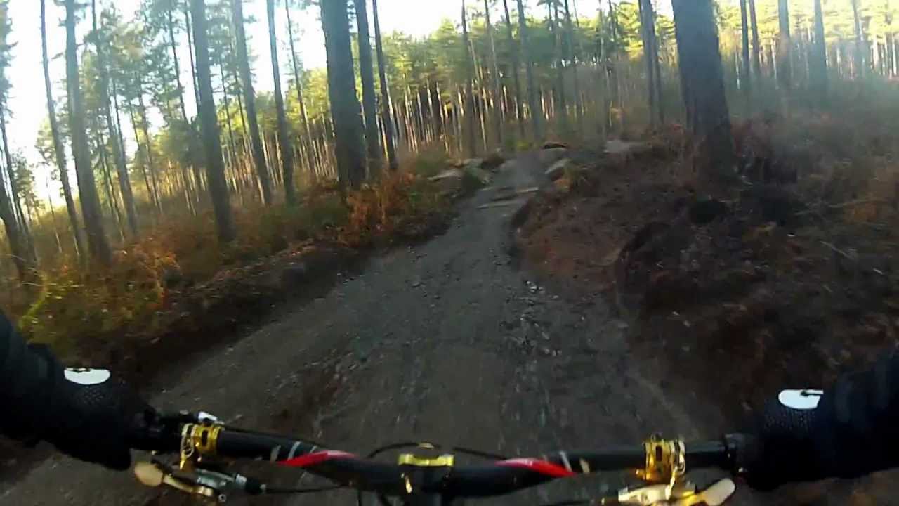 Sherwood Pines MTB red route downhill run - YouTube