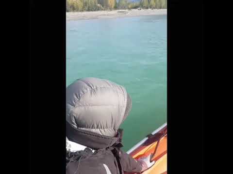 SOLAR 420 Inflatable Jet boat running upriver in Alaska - YouTube