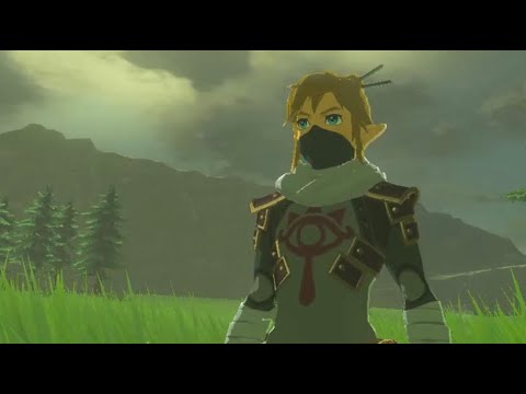 Link Montgomery Trend