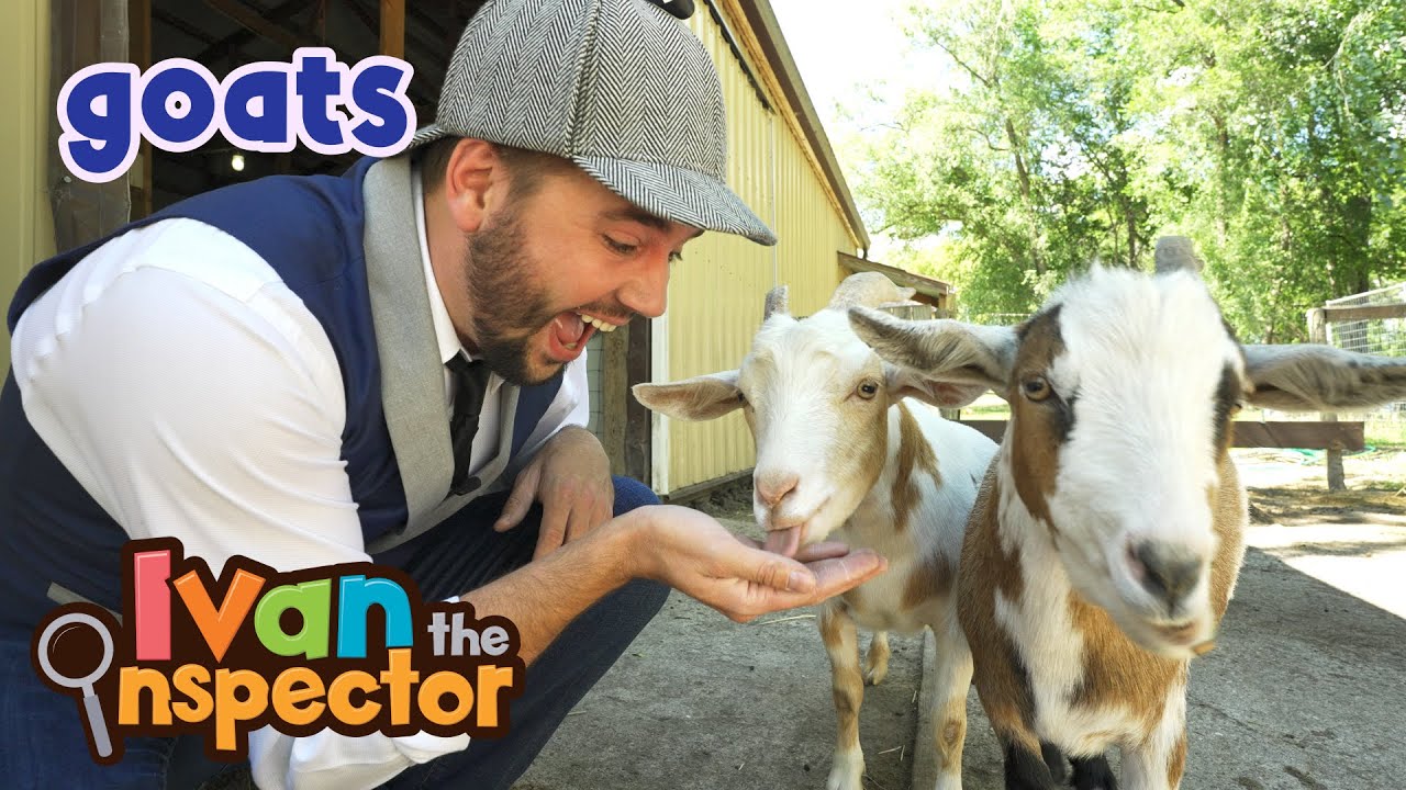 Ivan Inspects Goats | Fun and Educational Videos for Kids and Toddlers ...