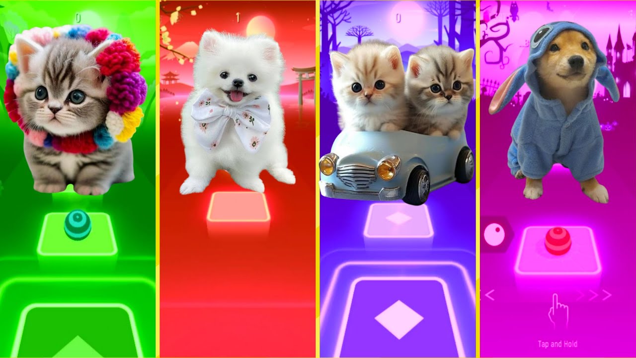 Cute Cat 🆚 Cute Dog Shakira Waka Waka - The Chainsmokers Closer | Tiles ...
