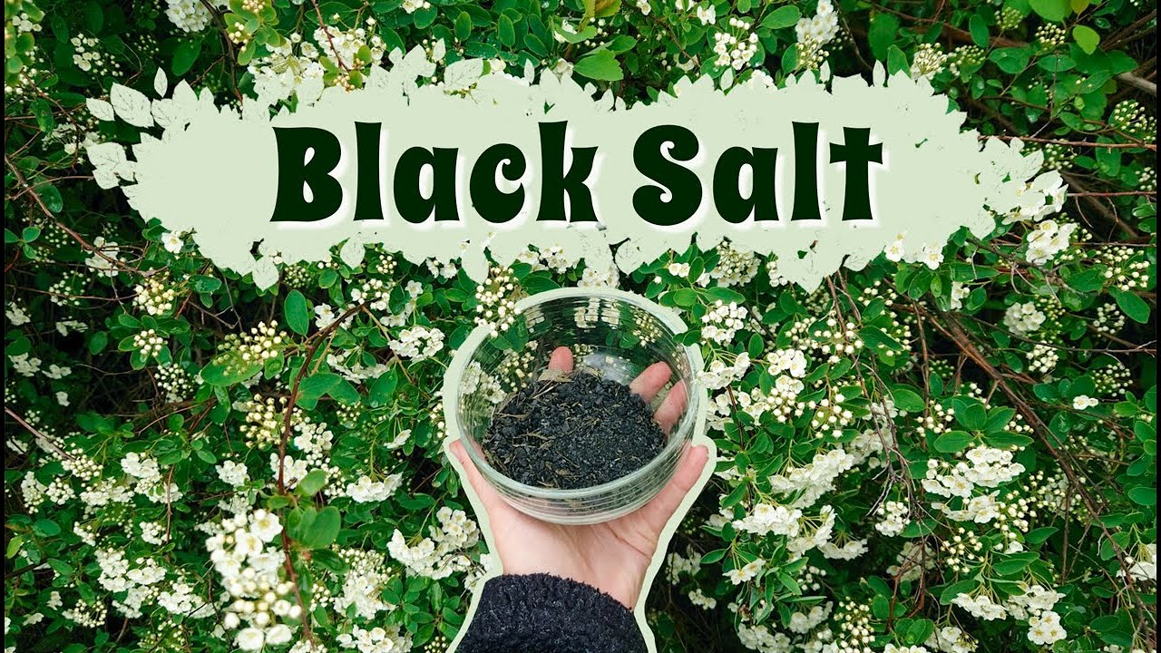 How to make Black Salt || Powerful Protection - Witchcraft - YouTube