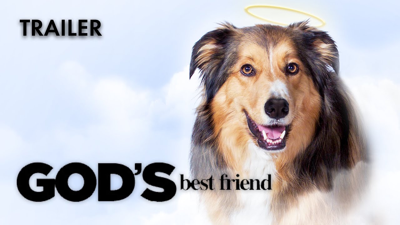God's Best Friend | Trailer - YouTube