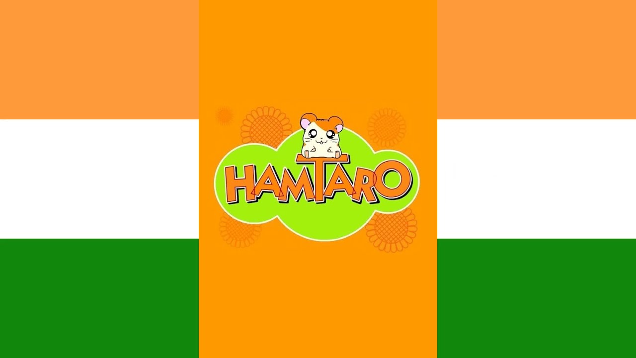Hamtaro Theme Song (V1) (हिंदी/Hindi) - YouTube