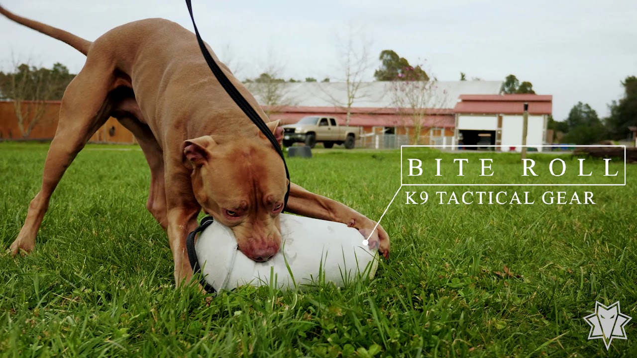 K9 Tactical Gear - Bite Roll - YouTube