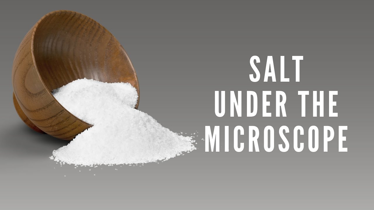 What does a salt look like under a microscope? 🧂 🔬 - YouTube