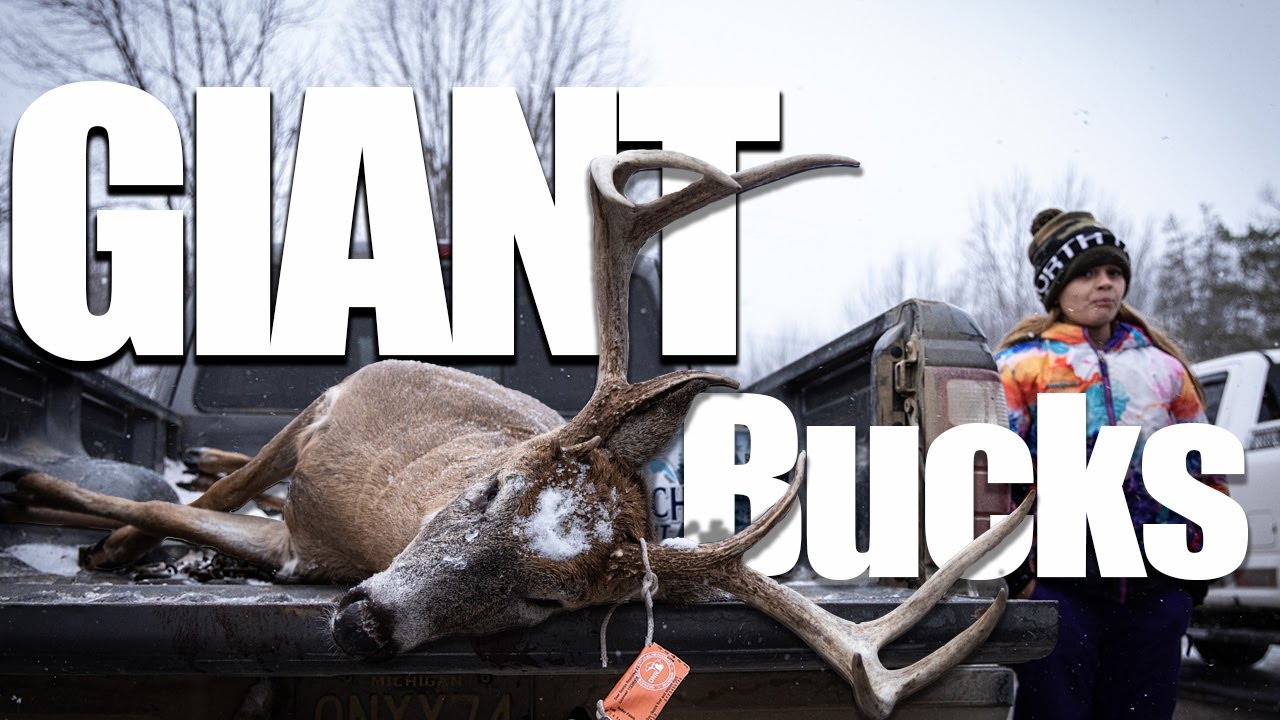BIG BUCKS DOWN at The Marion Springs Buck Pole | Michigan Hunting - YouTube